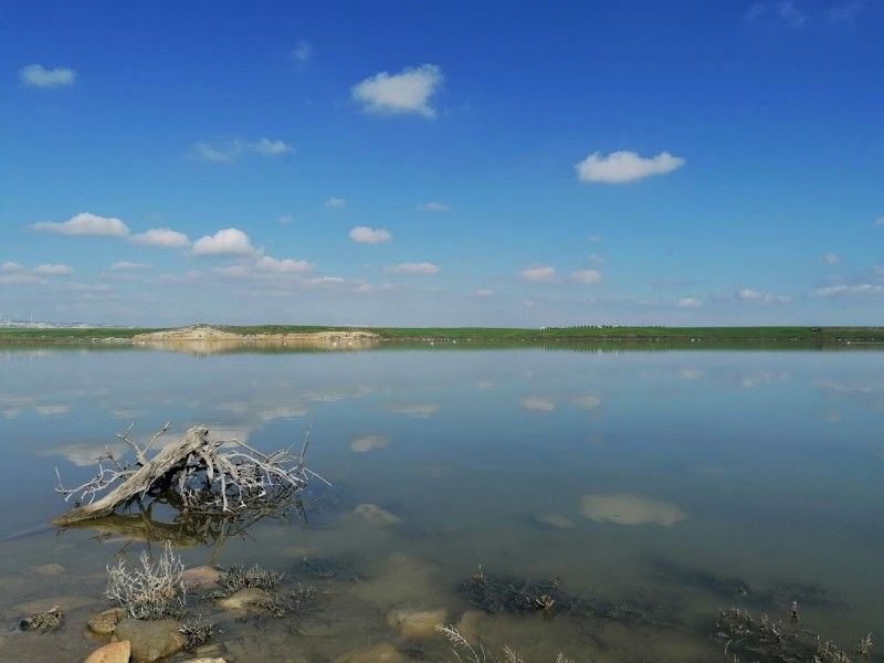 Δίκτυο Natura 2000: Μια ευλογία για τον άνθρωπο και τη φύση - Sigmalive